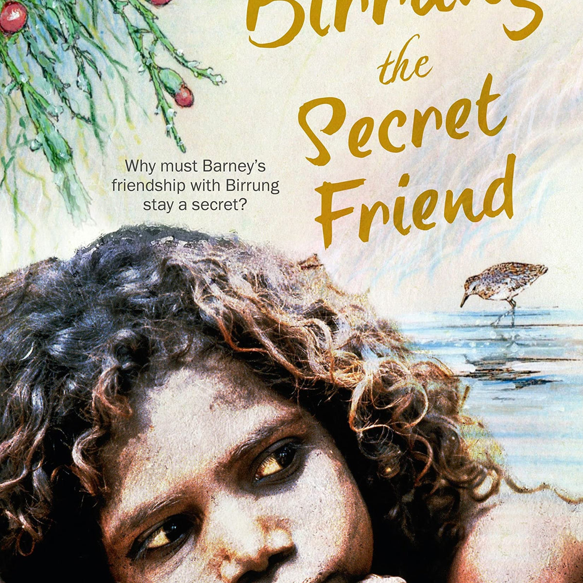 Birrung the Secret Friend (The Secret History Series, #1) – Book Hero