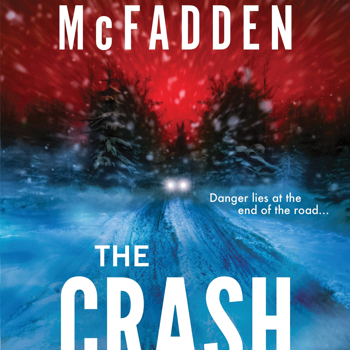 The Crash by Freida McFadden – Book Hero