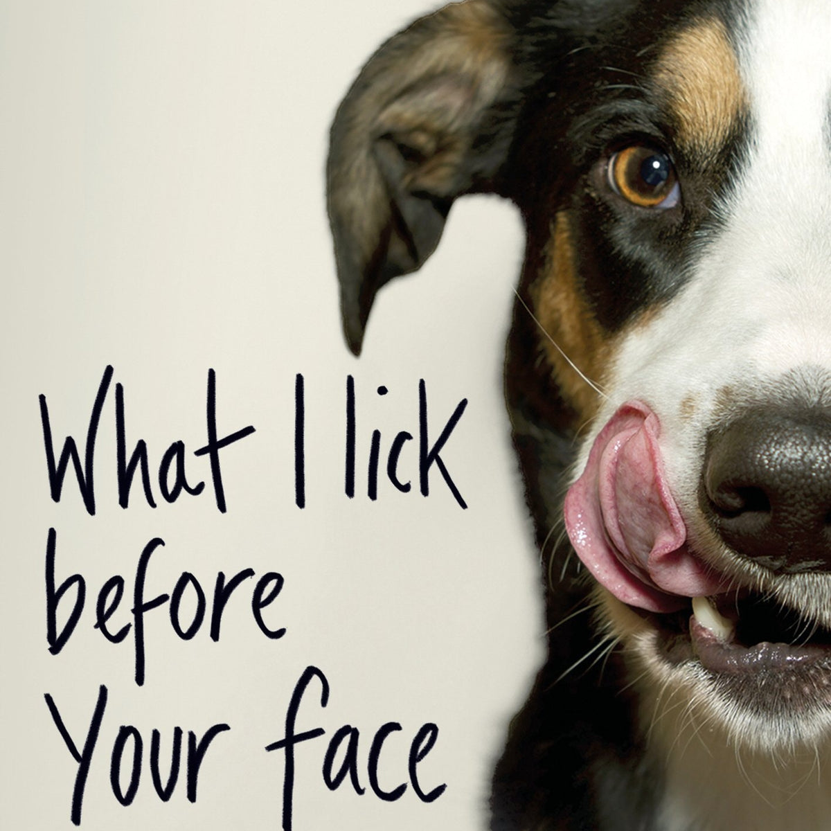 What I Lick Before Your Face ... and Other Haikus By Dogs by Jamie ...