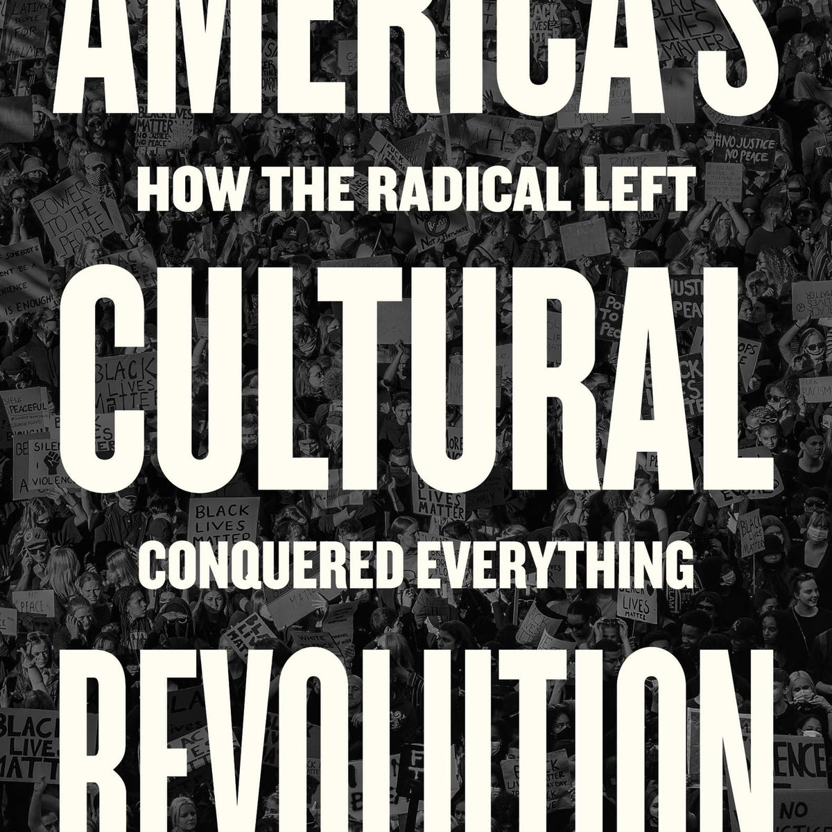 America's Cultural Revolution by Christopher F. Rufo – Book Hero