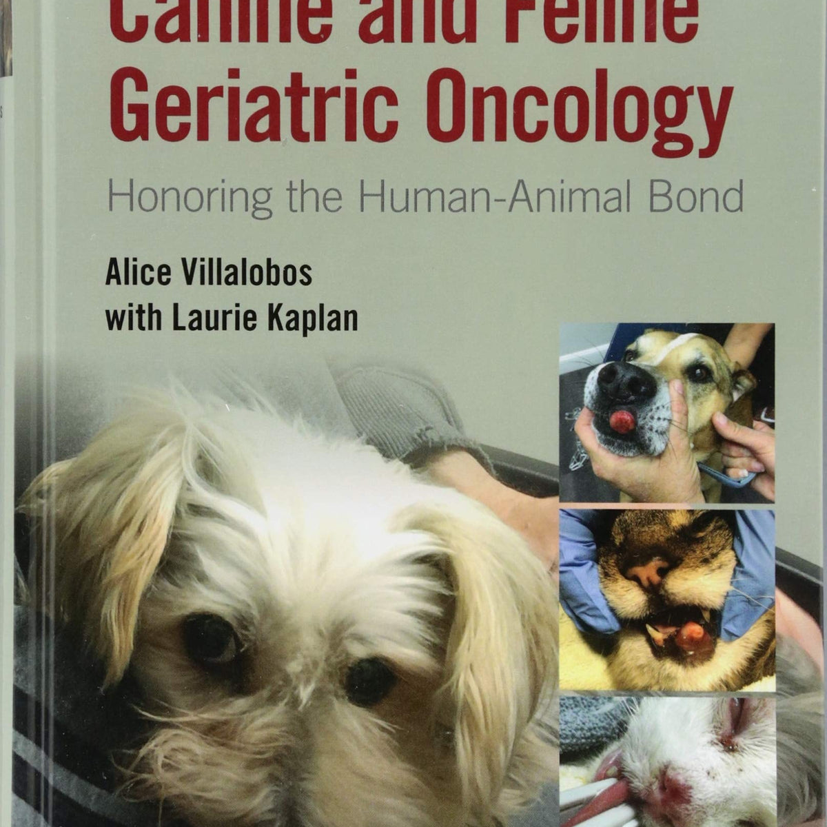 Canine and Feline Geriatric Oncology by Alice Villalobos – Book Hero