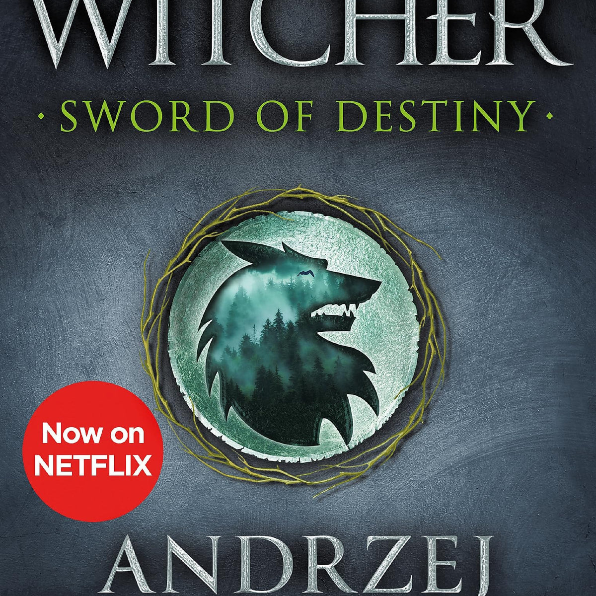 Sword of Destiny by Andrzej Sapkowski – Book Hero