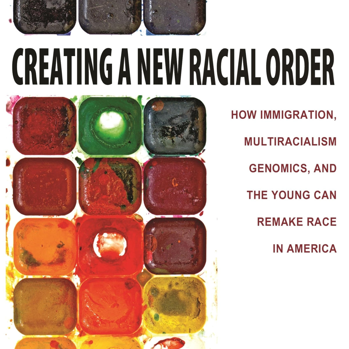 Creating a New Racial Order by Traci R. Burch, Jennifer L. Hochschild ...