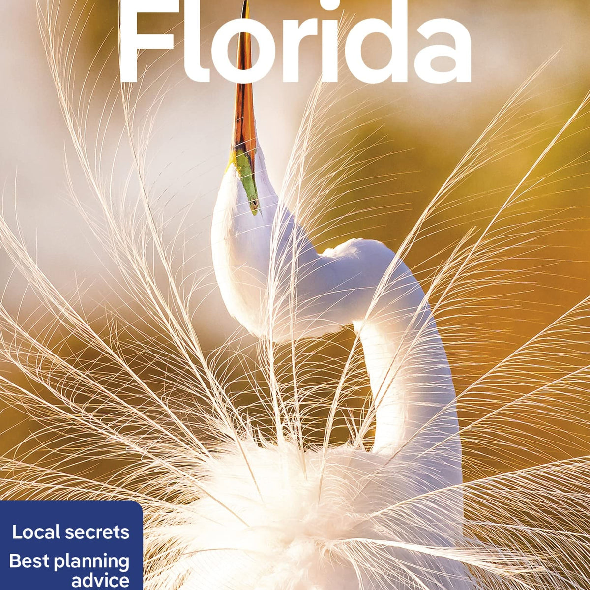 Lonely Planet Florida by Amy Bizzarri, Andy Ward, Lonely Planet, Adam ...