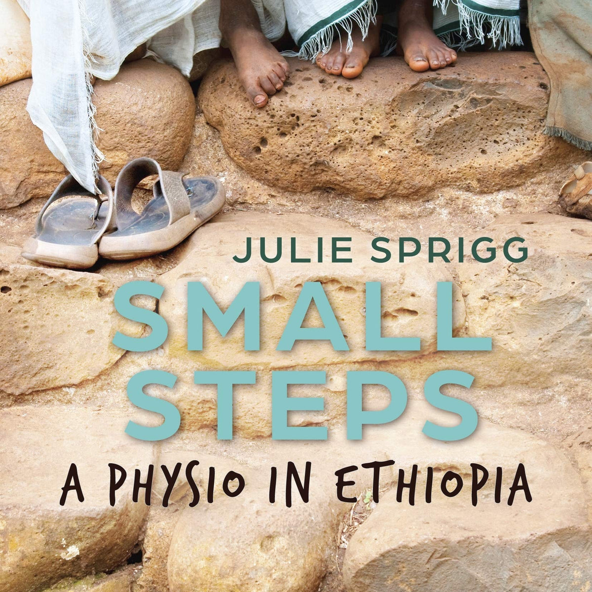 Small Steps: A Physio in Ethiopia by Julie Sprigg – Book Hero