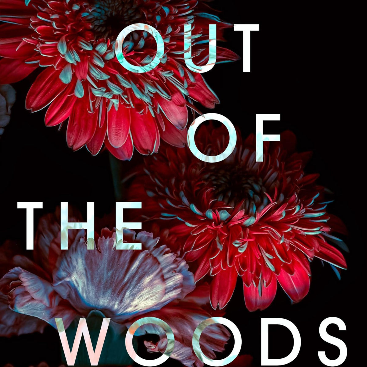 Out of the Woods by Gretchen Shirm – Book Hero