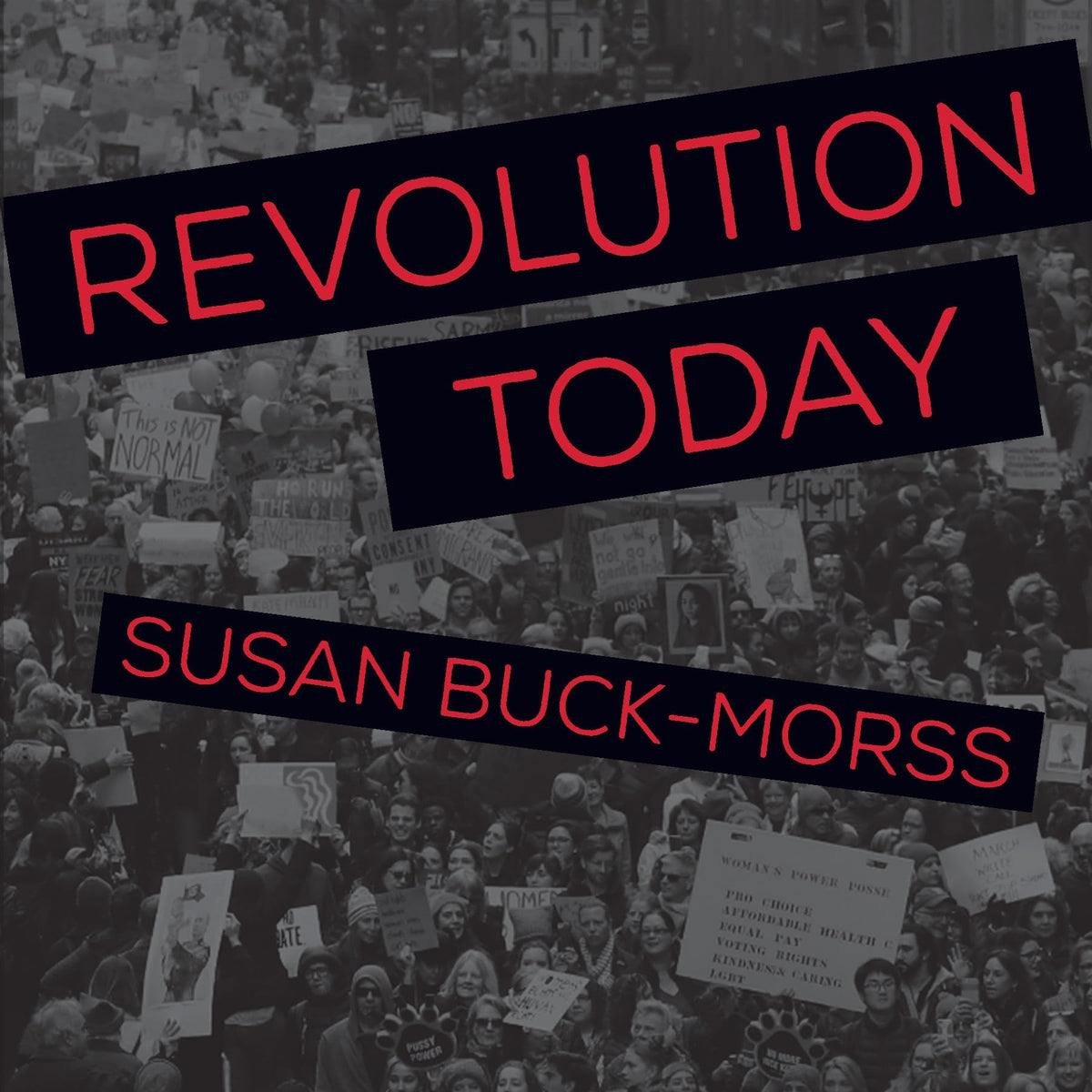 Revolution Today by Susan Buck-Morss – Book Hero