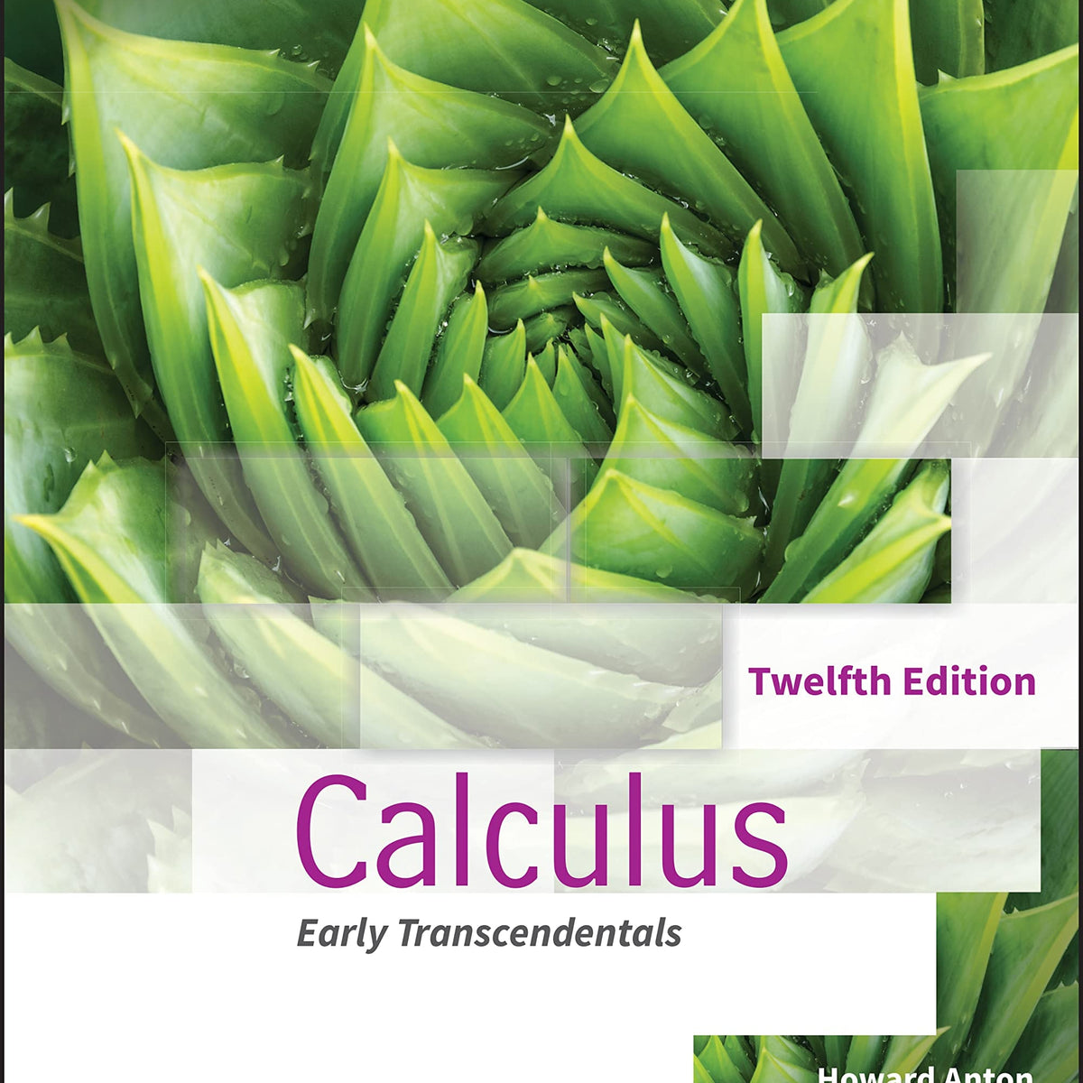 Calculus: Early Transcendentals, International Adaptation by Howard ...