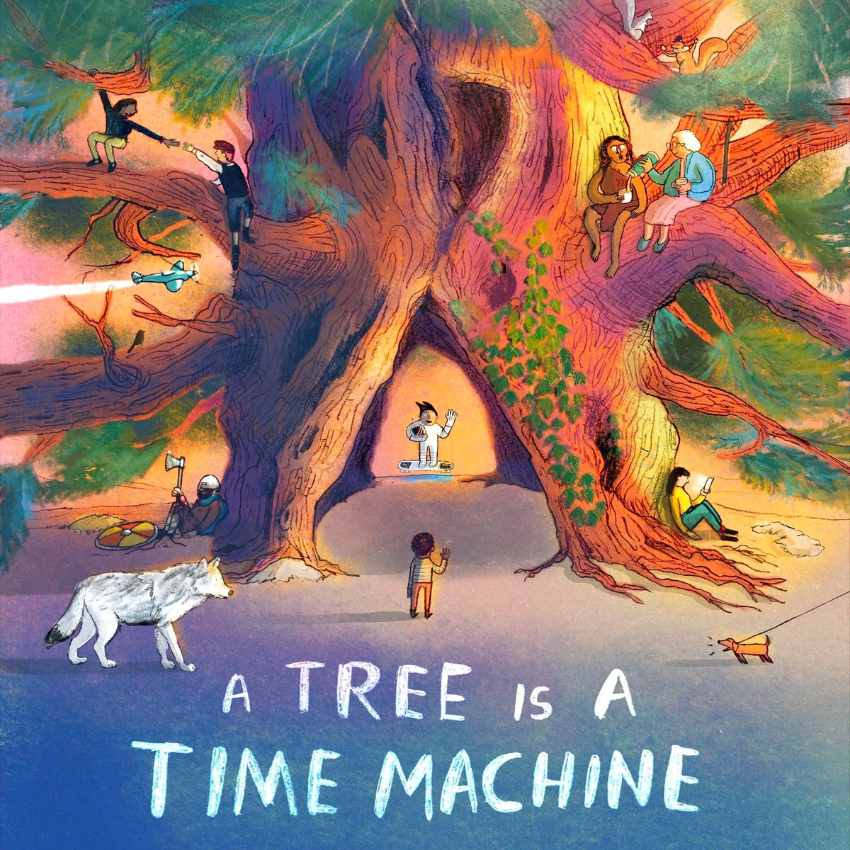 A Tree is a Time Machine by Rob Sears – Book Hero