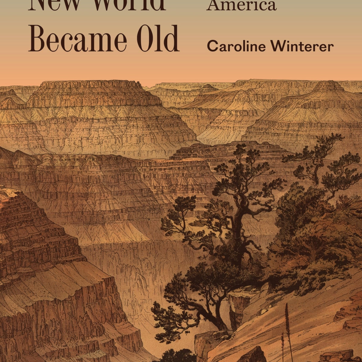 How the New World Became Old by Caroline Winterer – Book Hero