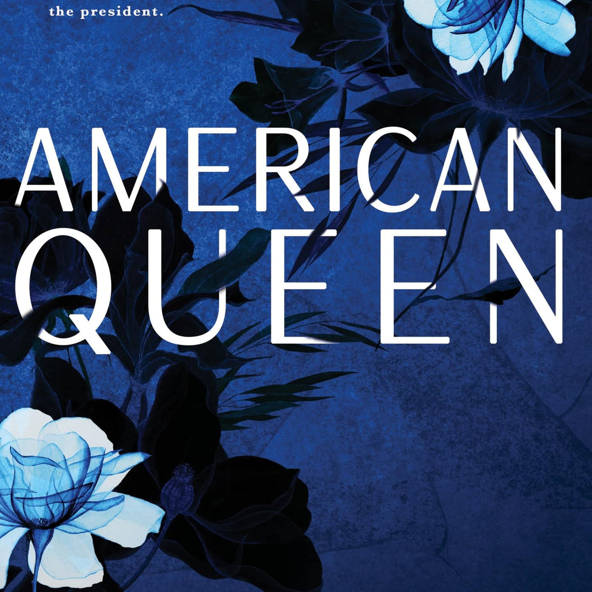 American Queen by Sierra Simone – Book Hero