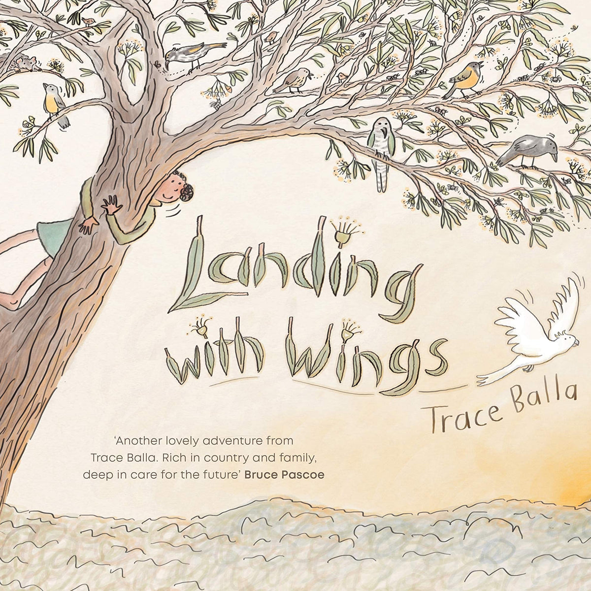 Landing with Wings by Trace Balla – Book Hero