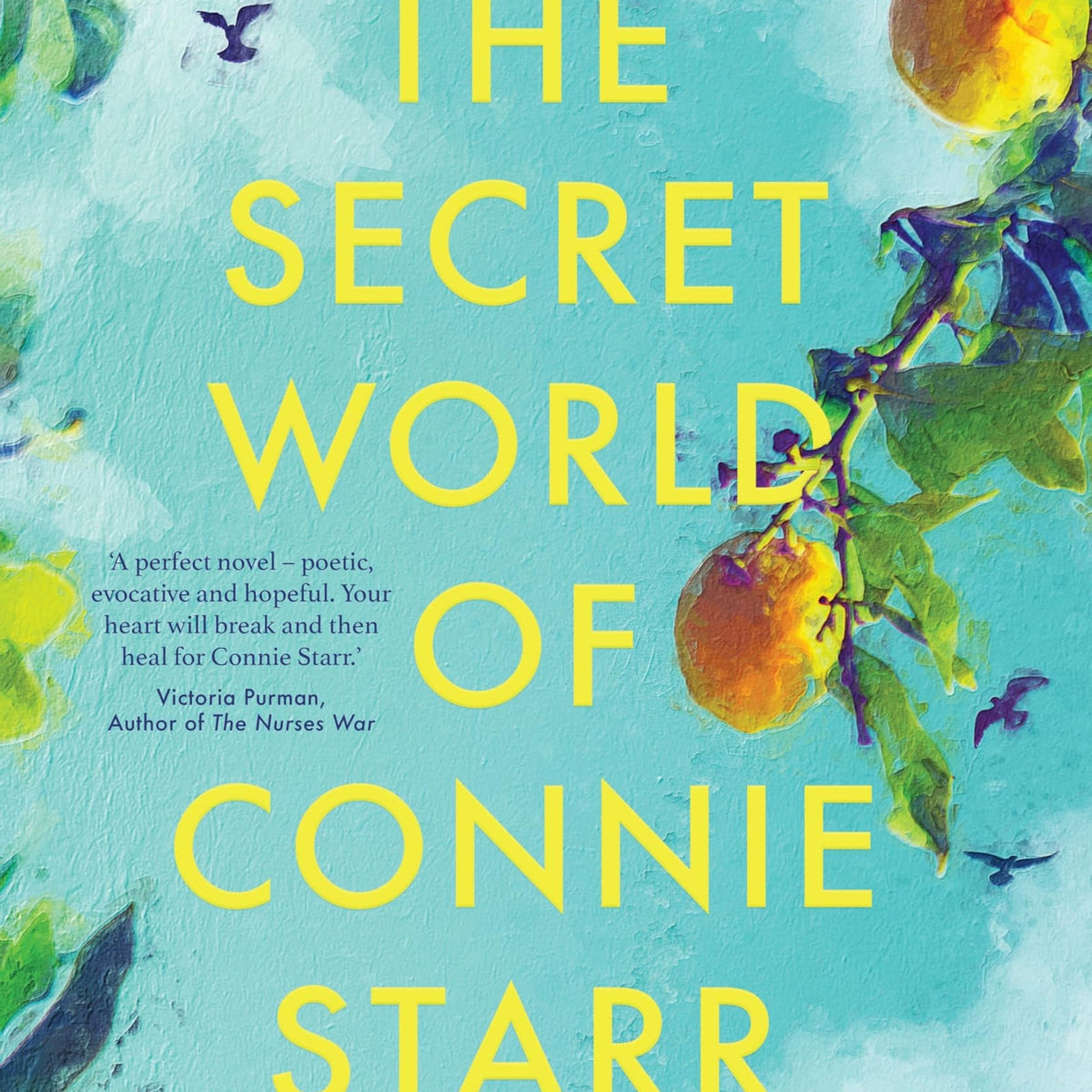 The Secret World of Connie Starr by Robbi Neal – Book Hero