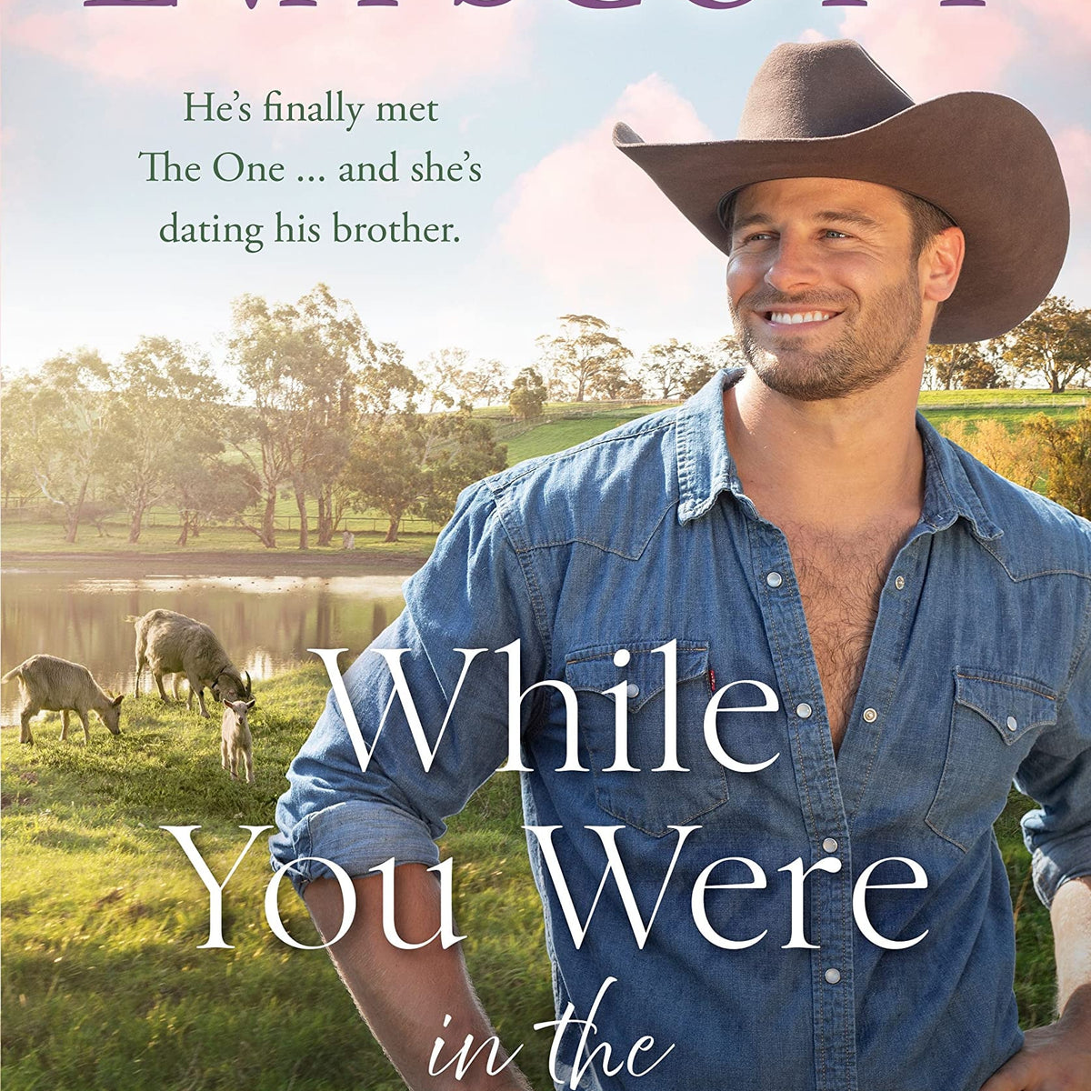 While You Were in the Country by Eva Scott – Book Hero