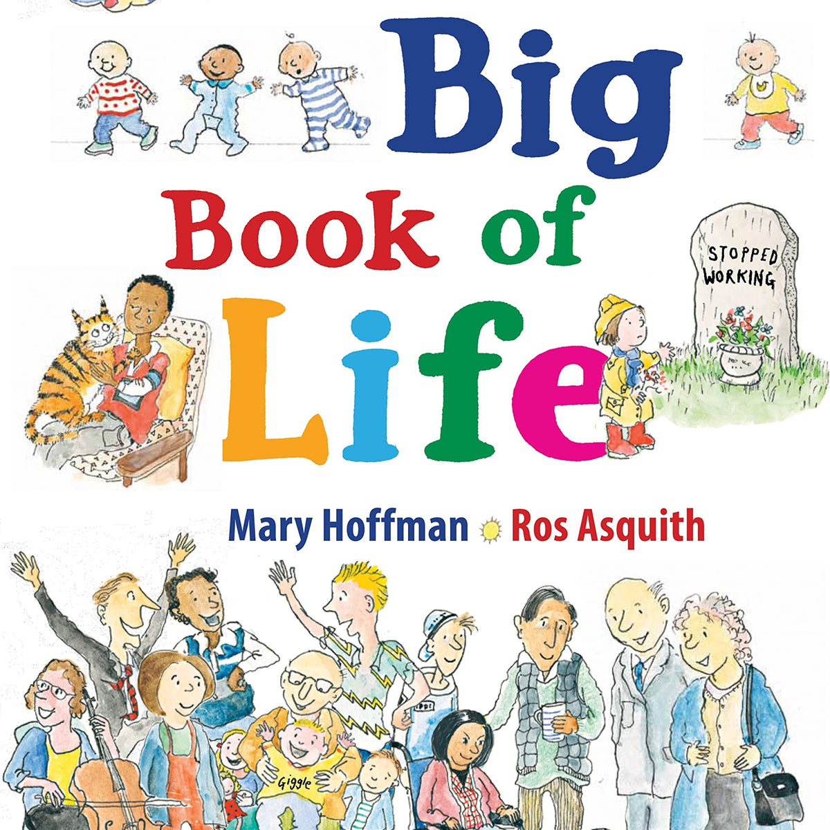 The Great Big Book of Life by Mary Hoffman – Book Hero