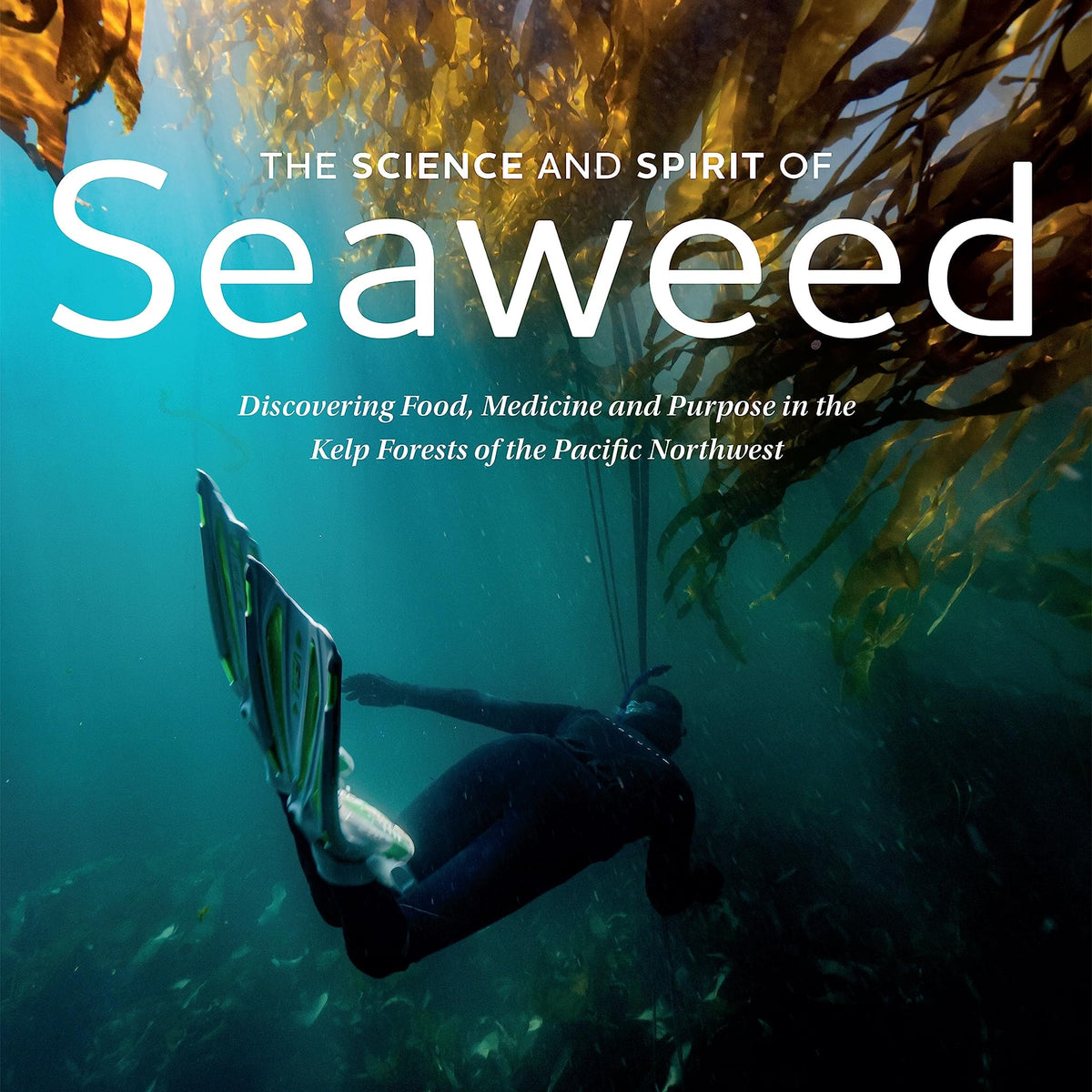 The Science and Spirit of Seaweed by Amanda Swinimer – Book Hero