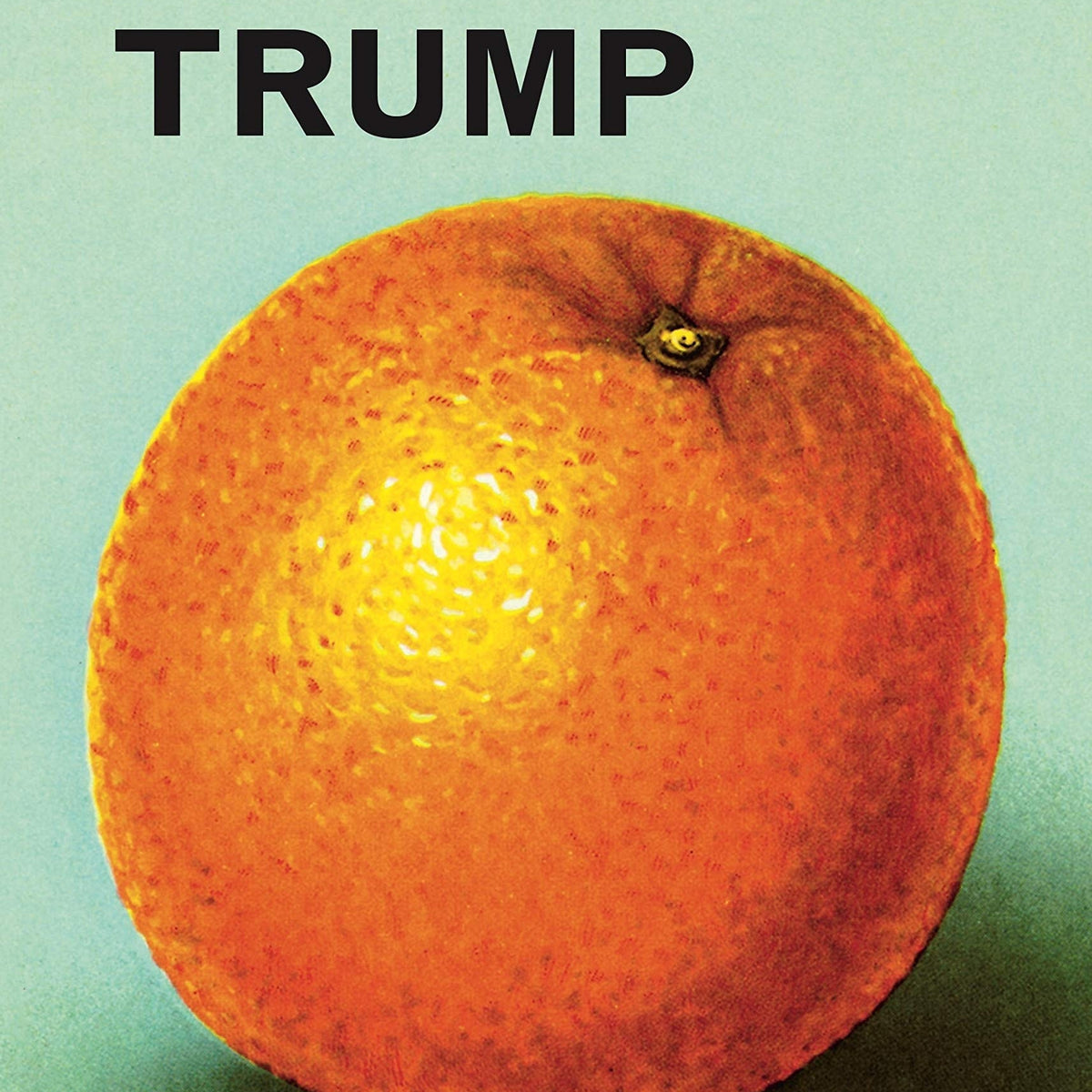 A Ladybird Book About Donald Trump by Jason Hazeley and Joel Morris ...