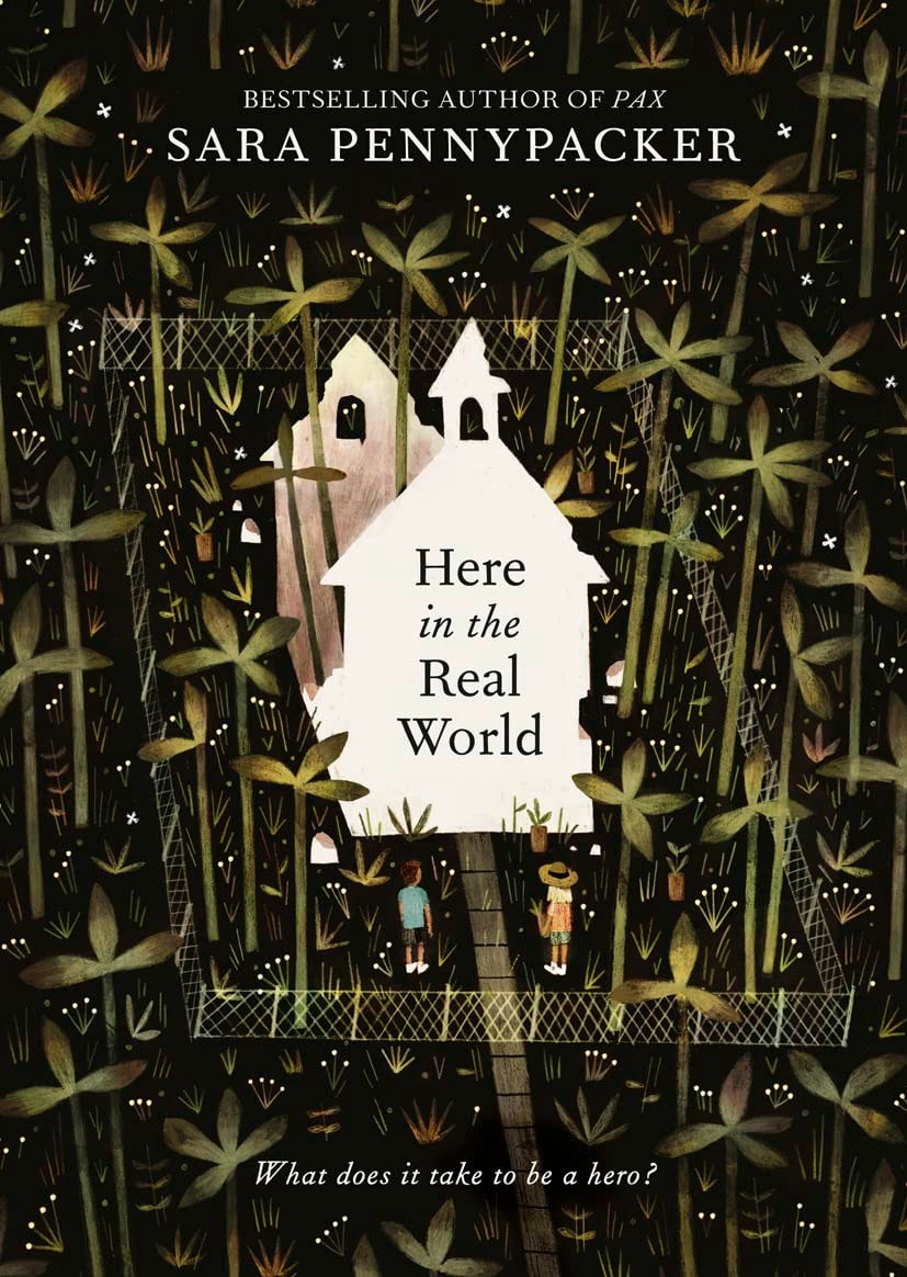 Here in the Real World – Book Hero