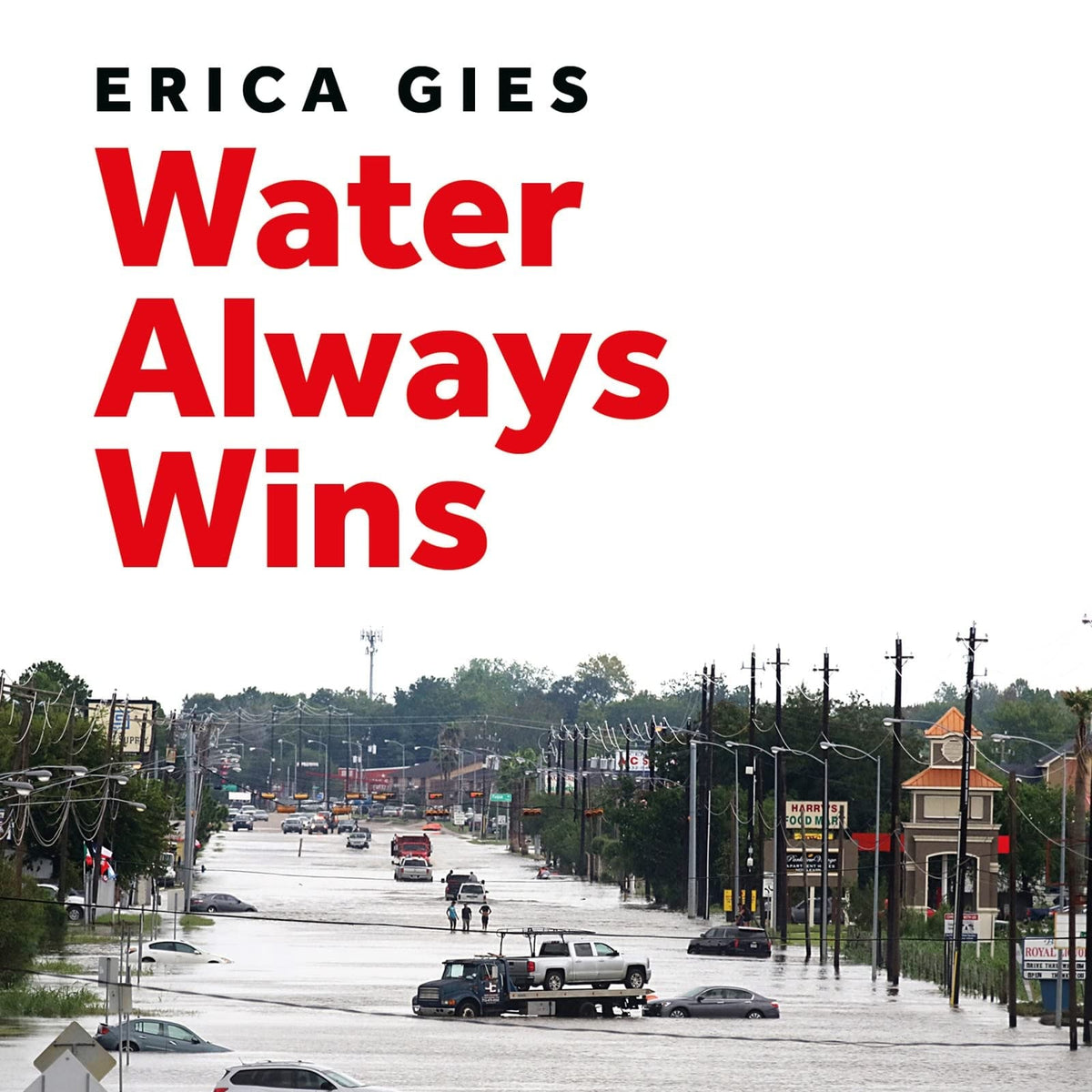 Water Always Wins by Erica Gies – Book Hero