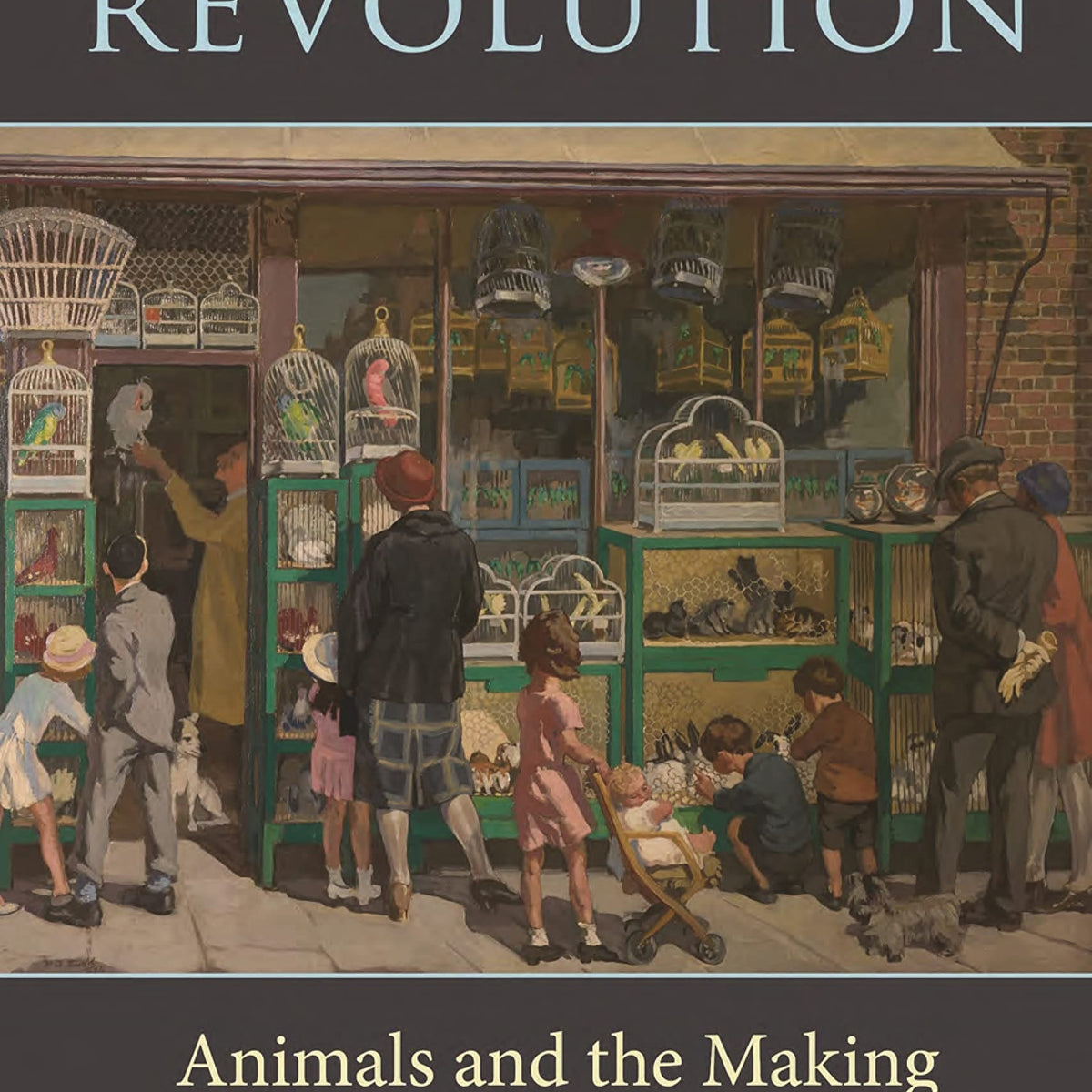 Pet Revolution by Jane Hamlett and Julie-Marie Strange – Book Hero