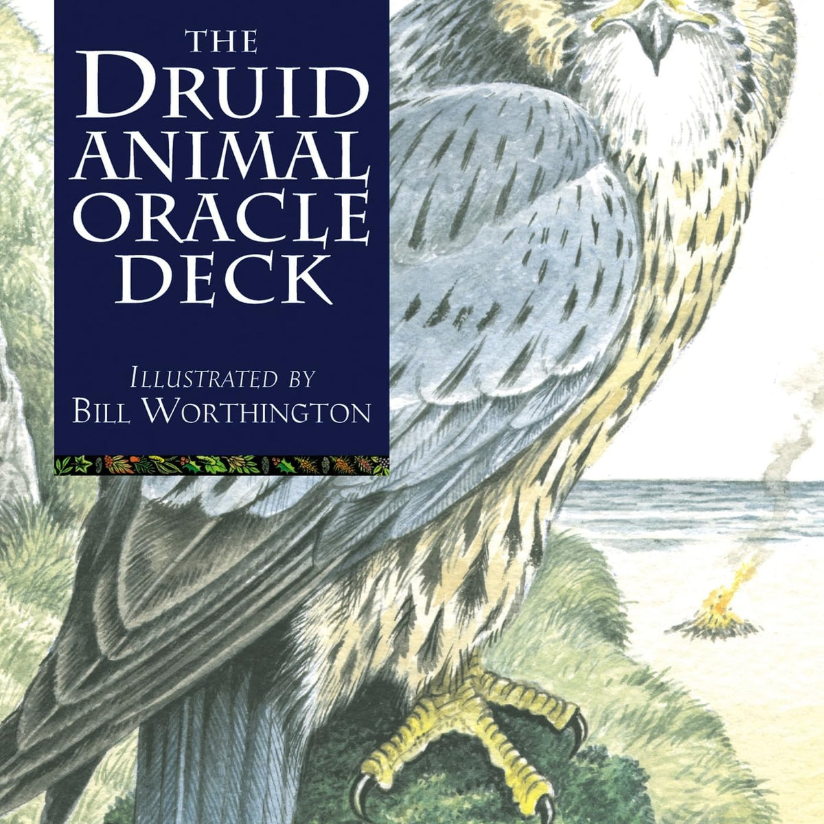 The Druid Animal Deck by Stephanie Carr-Gomm and Philip Carr-Gomm ...