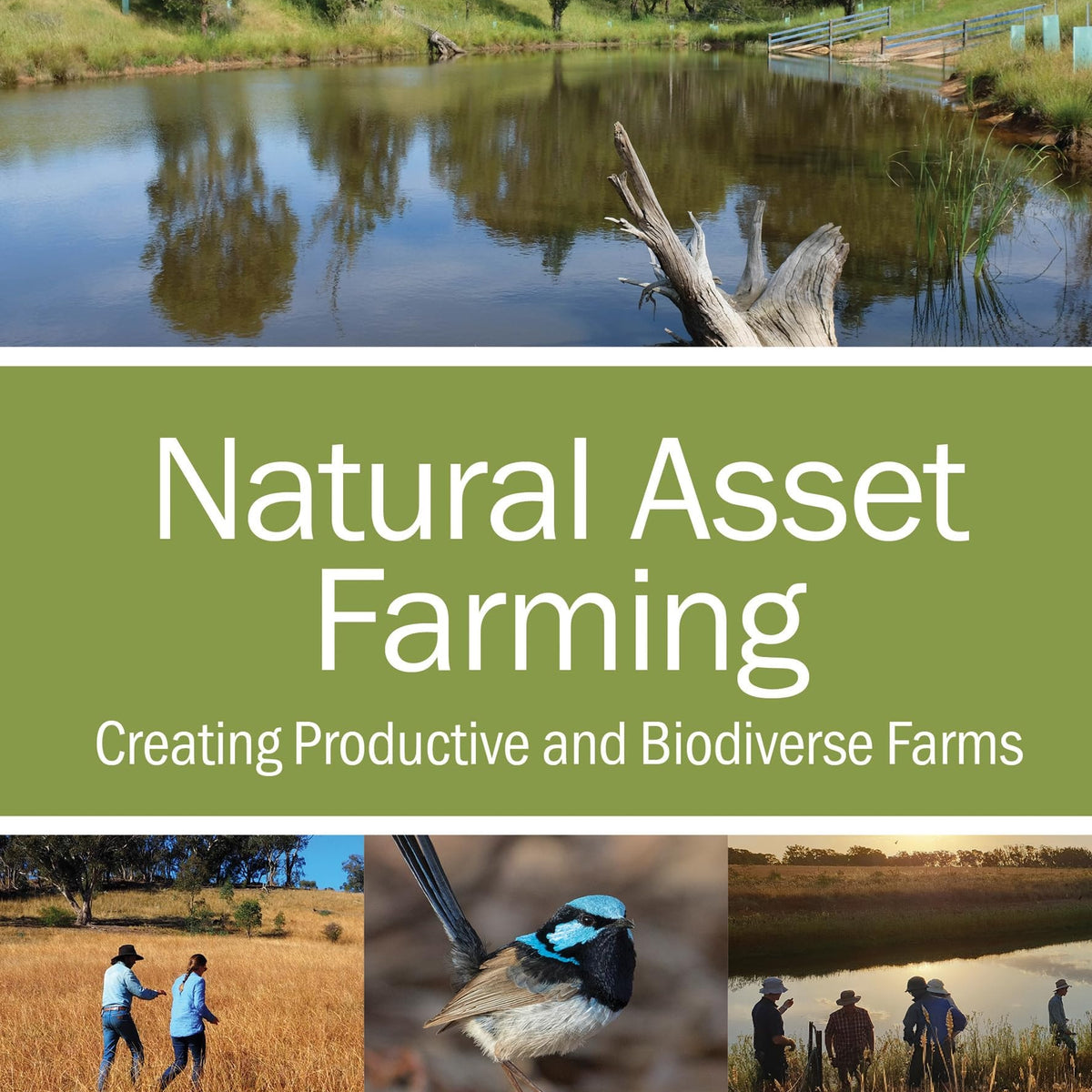 Natural Asset Farming by Suzannah M. Macbeth, Michelle L. Young, David ...