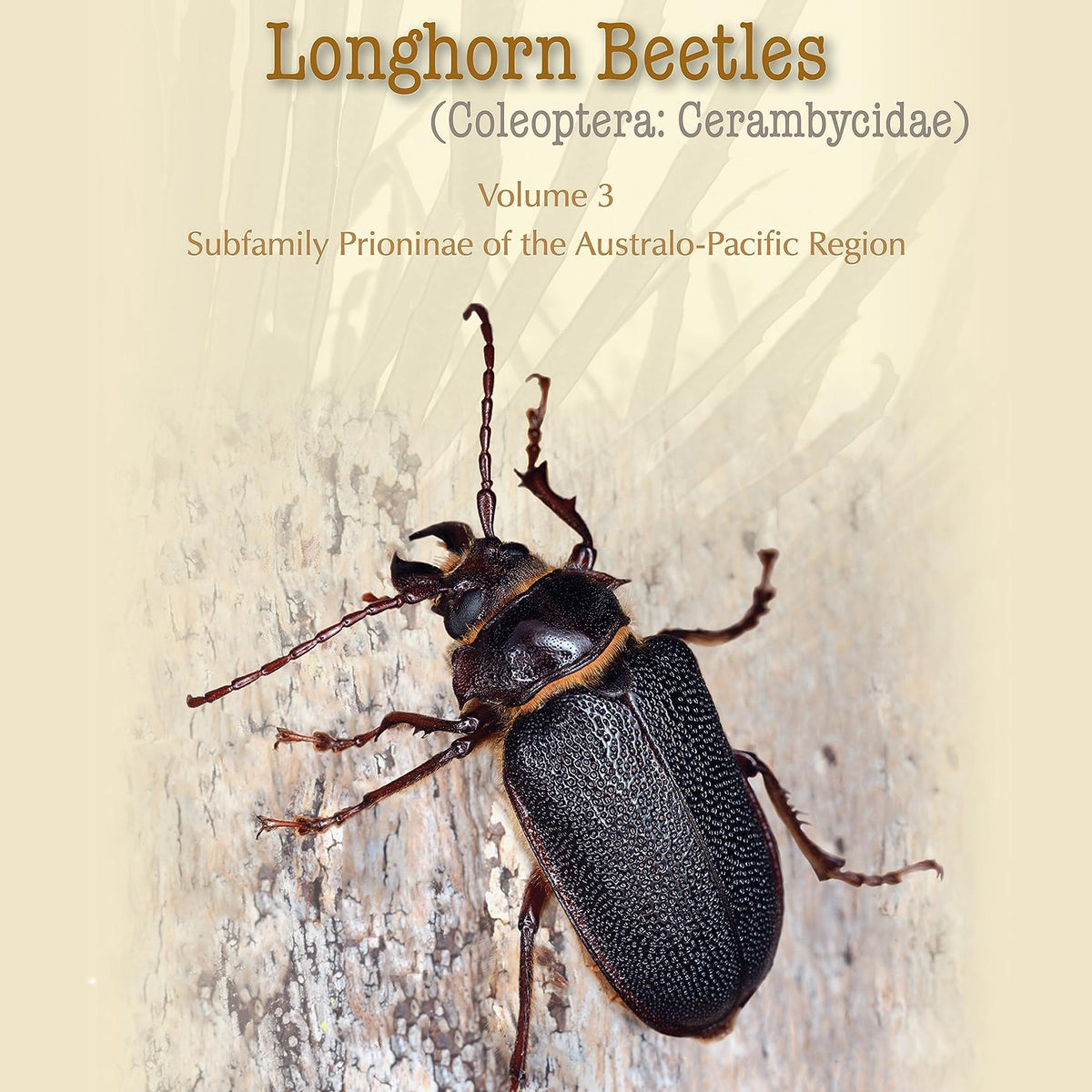 Australian Longhorn Beetles (Coleoptera: Cerambycidae) Volume 3 by ...
