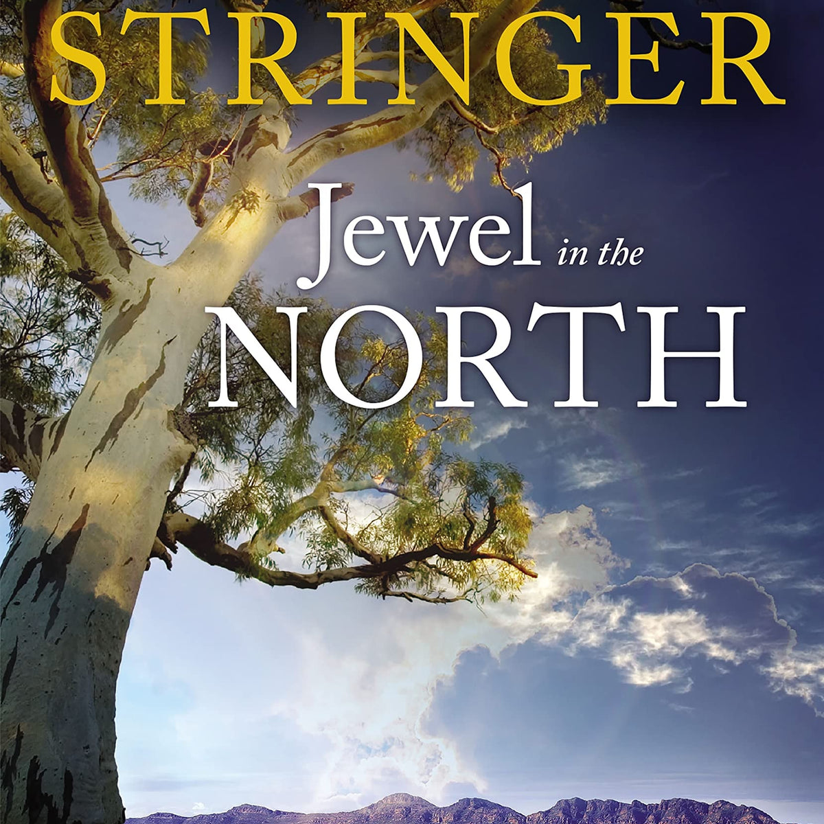 Jewel In The North by Tricia Stringer – Book Hero