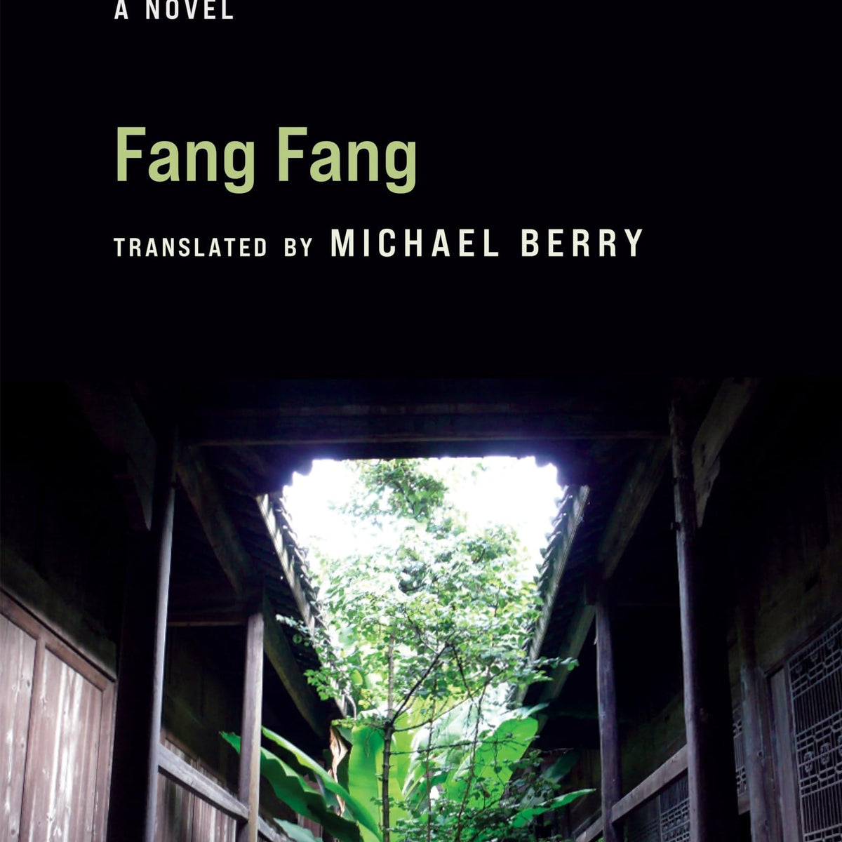 Soft Burial by Fang Fang – Book Hero