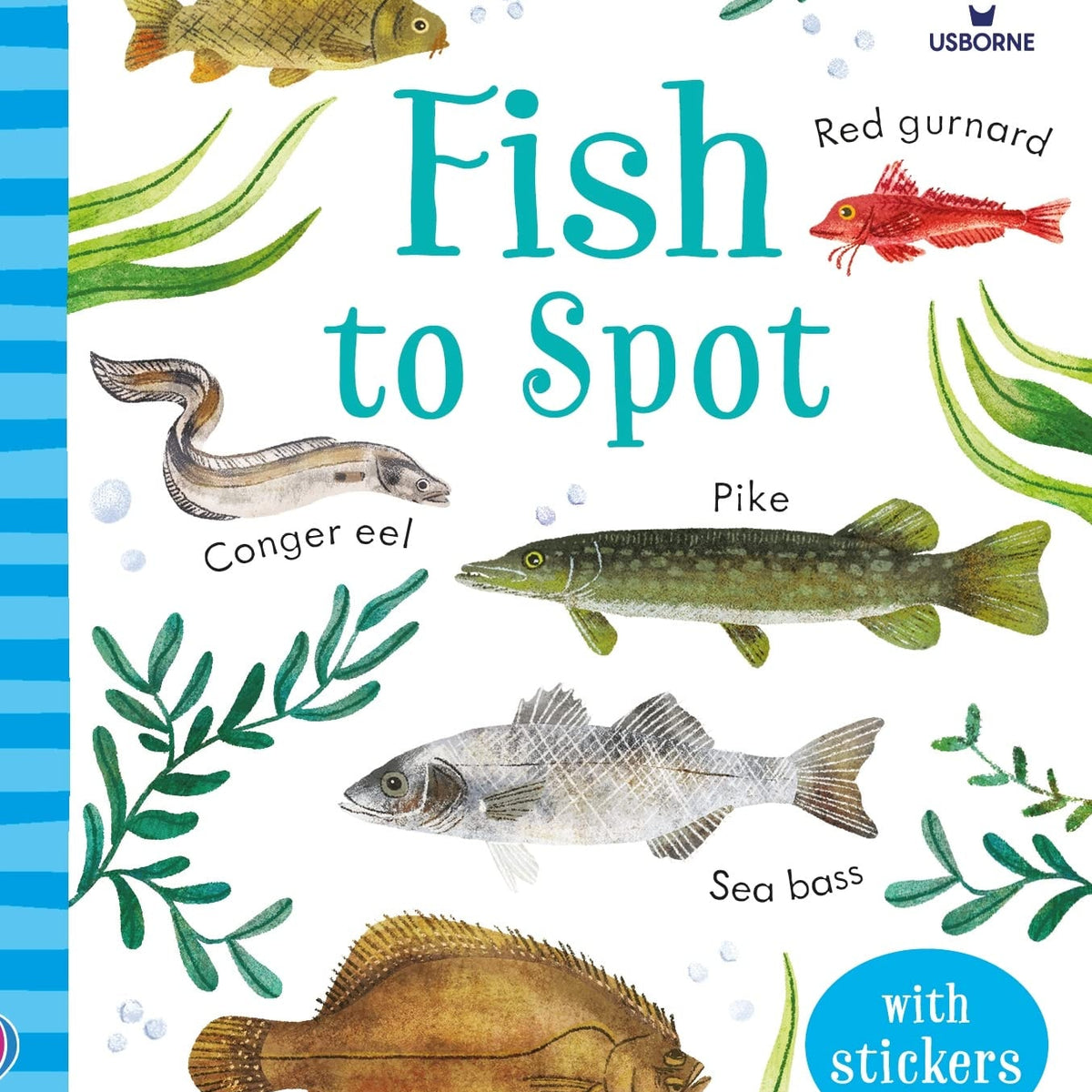 Fish to Spot by Kate Nolan – Book Hero