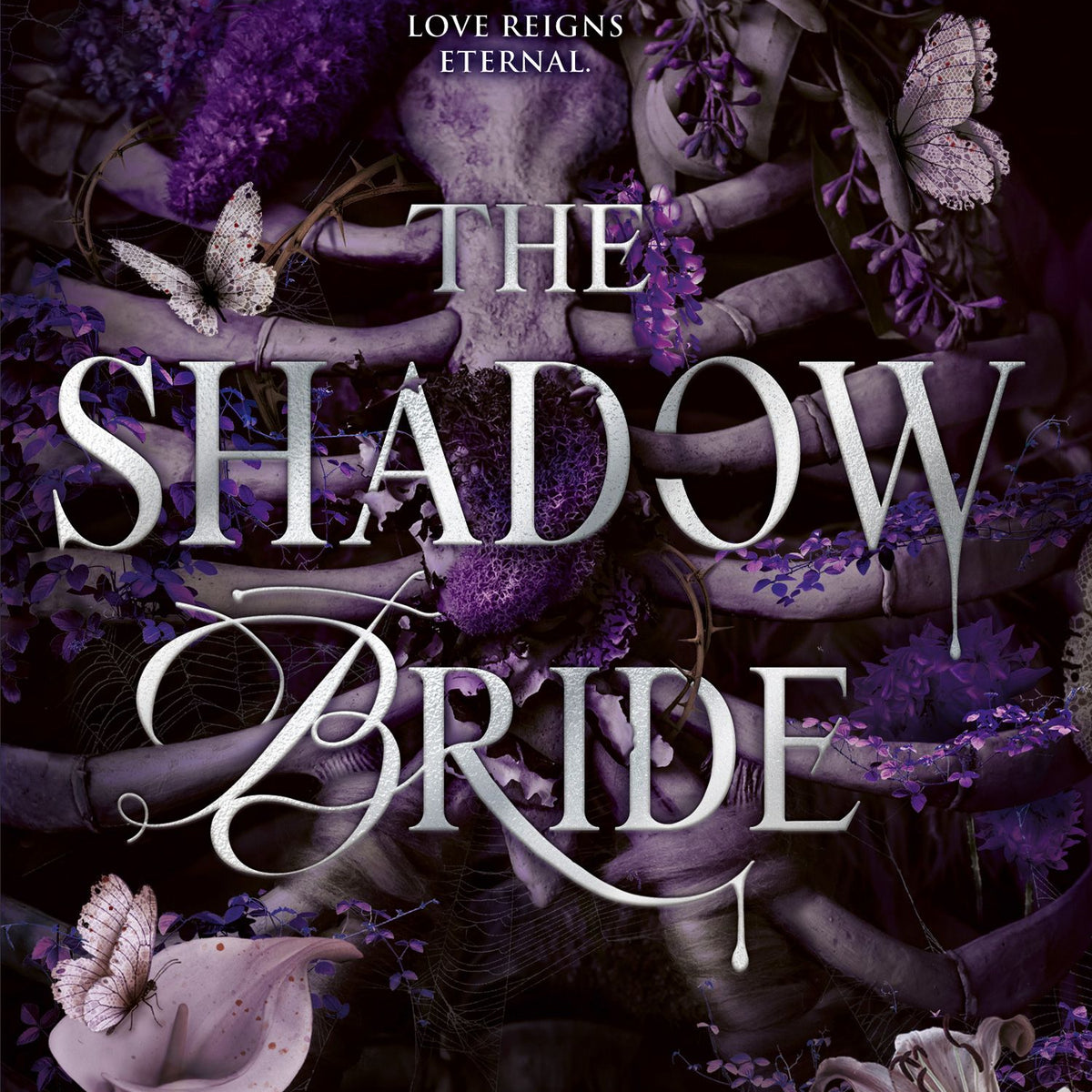 The Shadow Bride by Shelby Mahurin – Book Hero