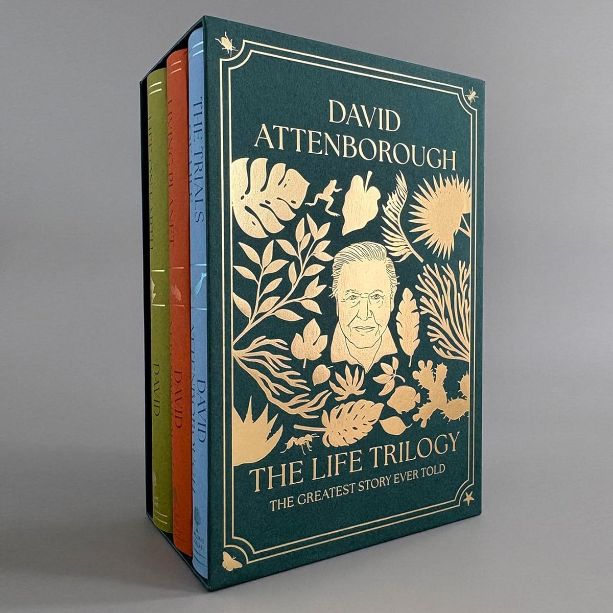 The Life Trilogy Boxset by David Attenborough – Book Hero