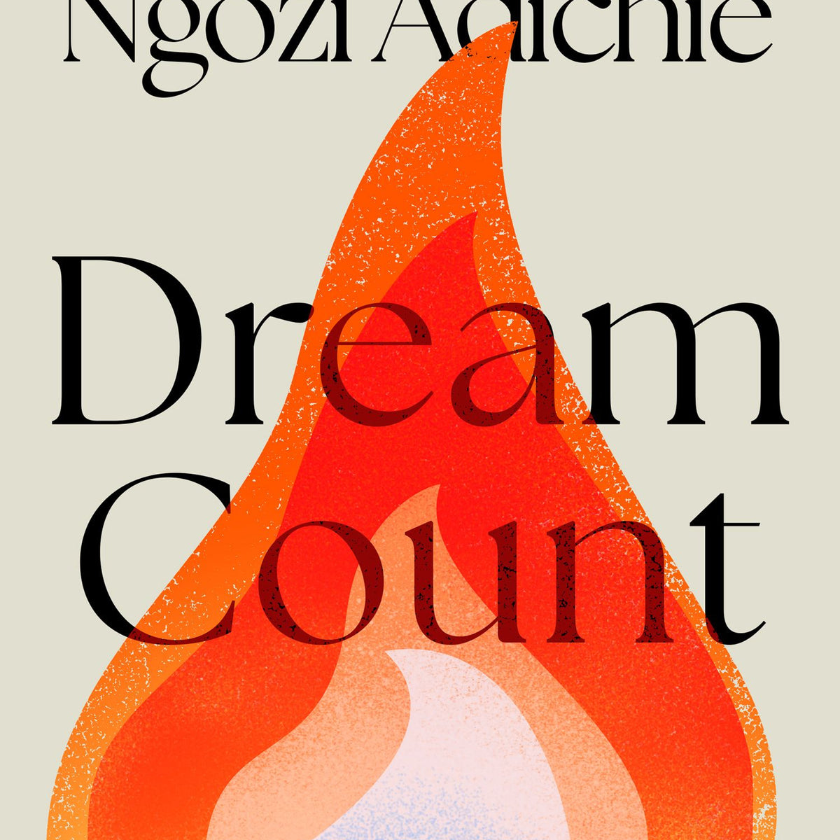 Dream Count by Chimamanda Ngozi Adichie – Book Hero