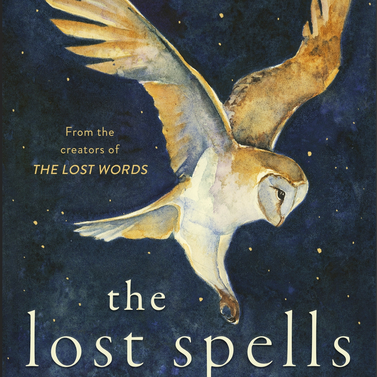 The Lost Spells by Jackie Morris and Robert Macfarlane – Book Hero