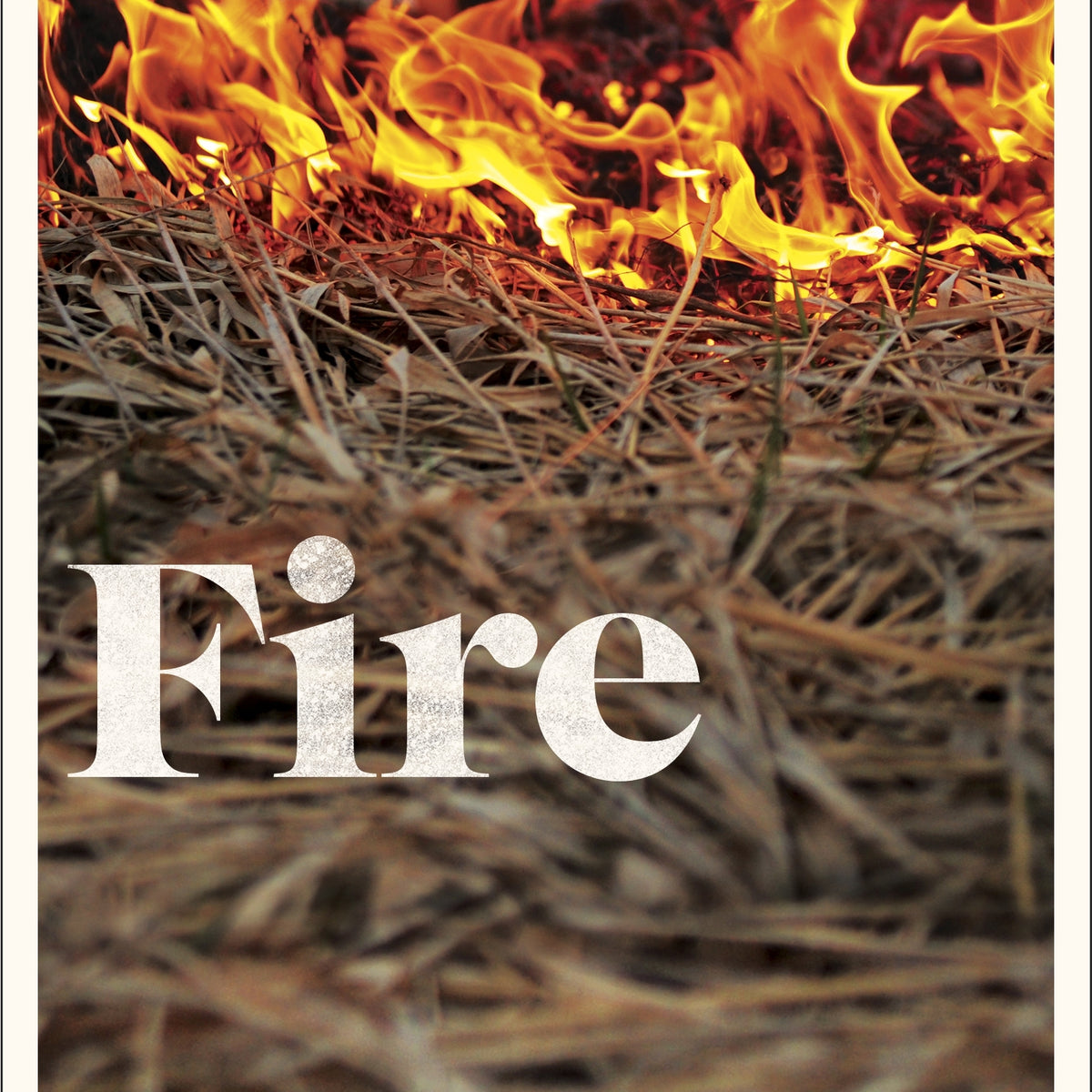 Fire by John Boyne – Book Hero