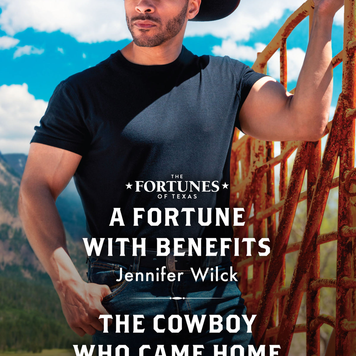 A Fortune With Benefits/The Cowboy Who Came Home by Jennifer Wilck and ...