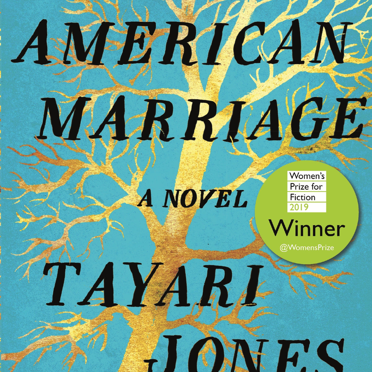 An American Marriage by Tayari Jones – Book Hero