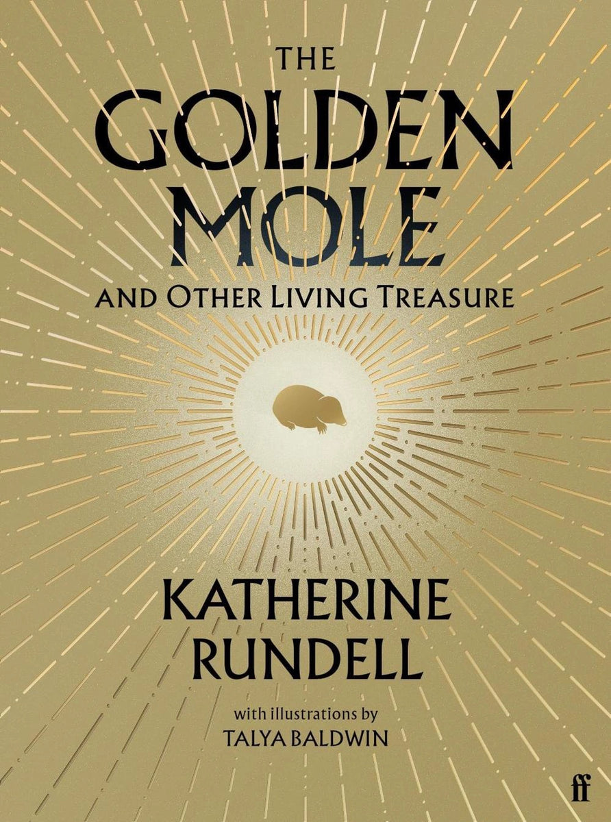The Golden Mole by Katherine Rundell – Book Hero